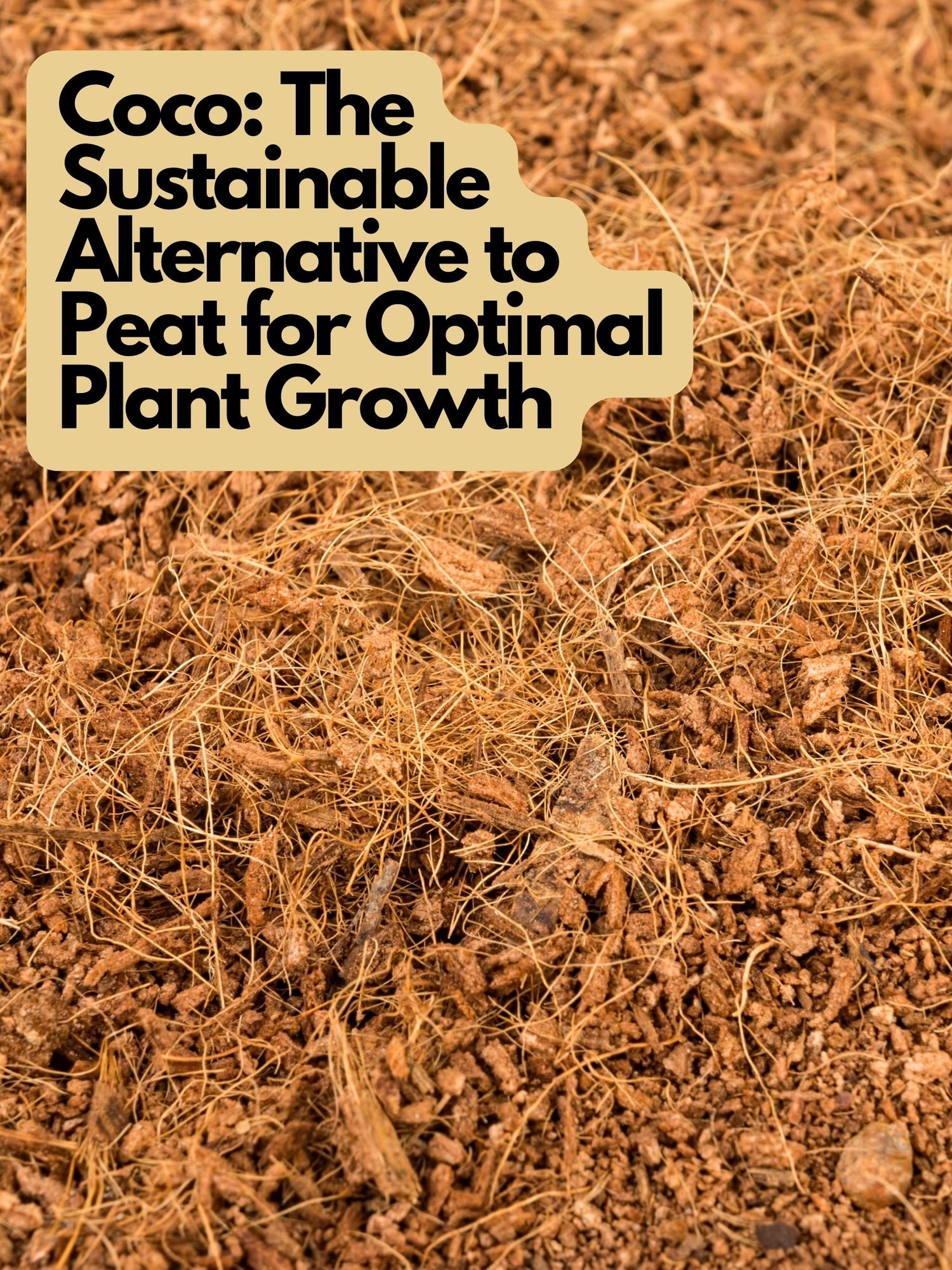 Coco: The Sustainable Alternative to Peat for Optimal Plant Growth – SD ...